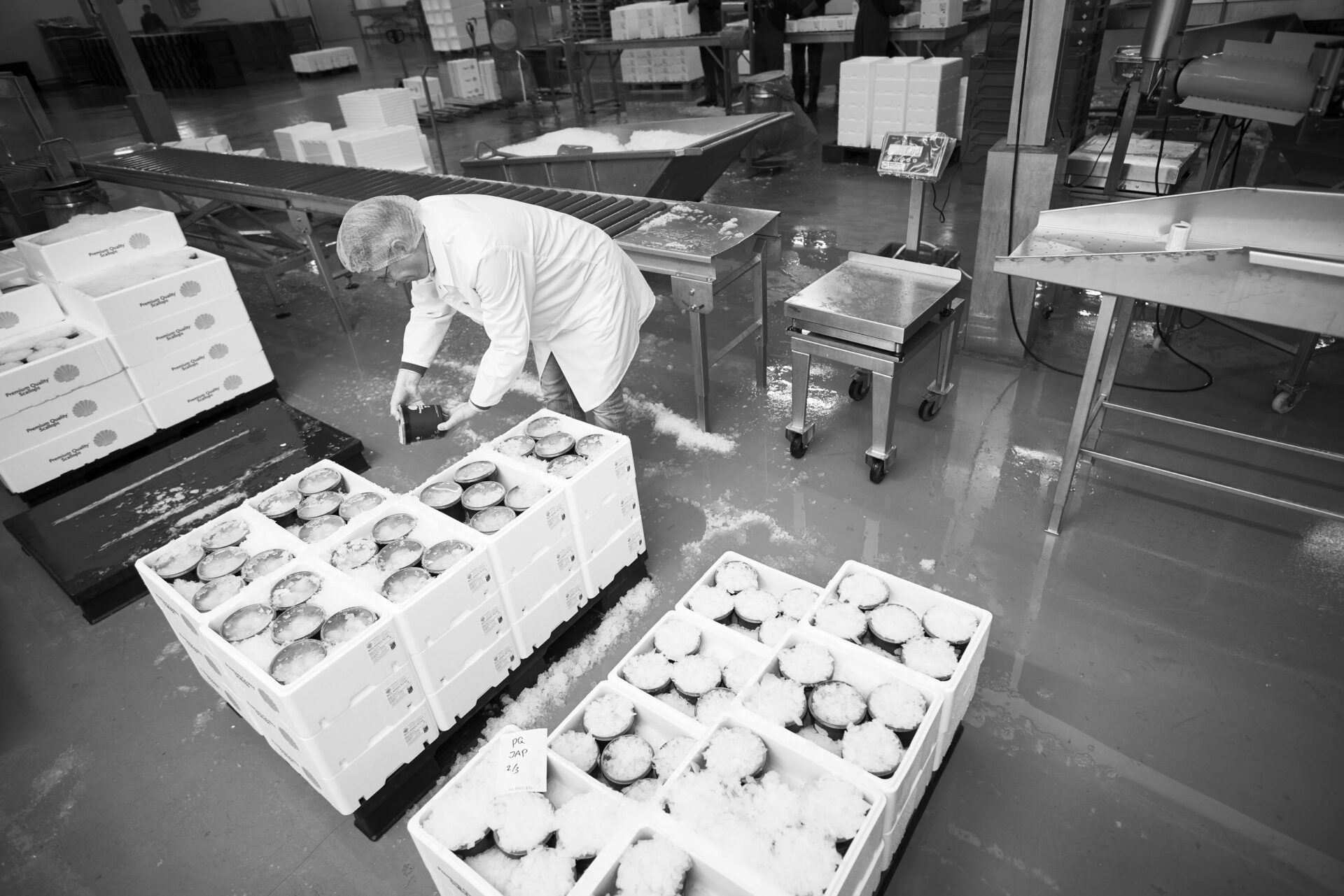 Label & Specifications | Werken bij Normec Foodcare